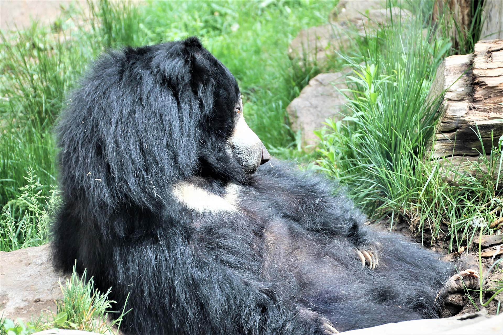 Fun Winter Day at Zoo Boise - familyvacay.com